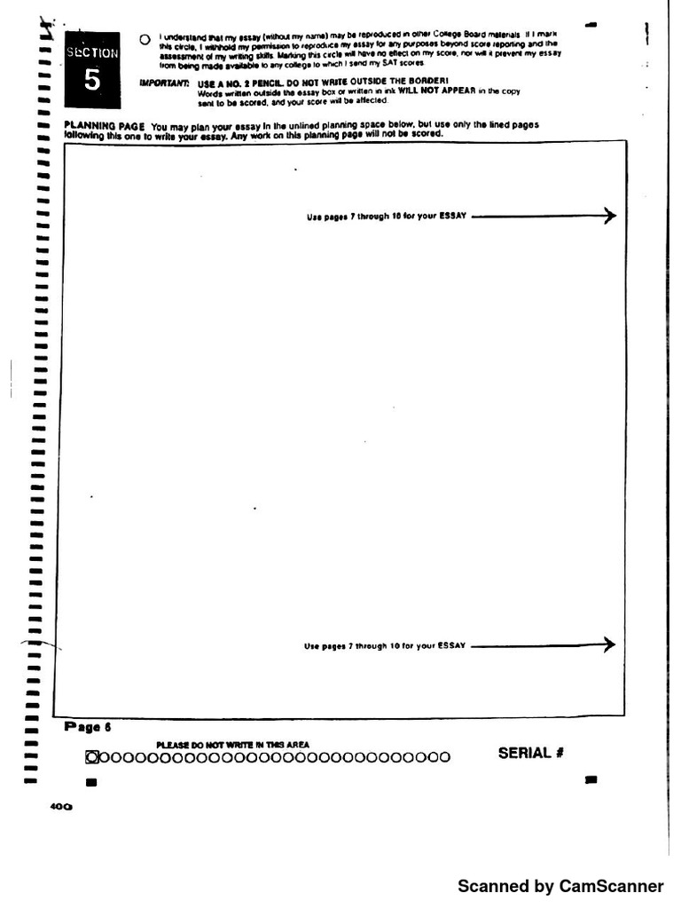 Blank Essay Sheet | PDF