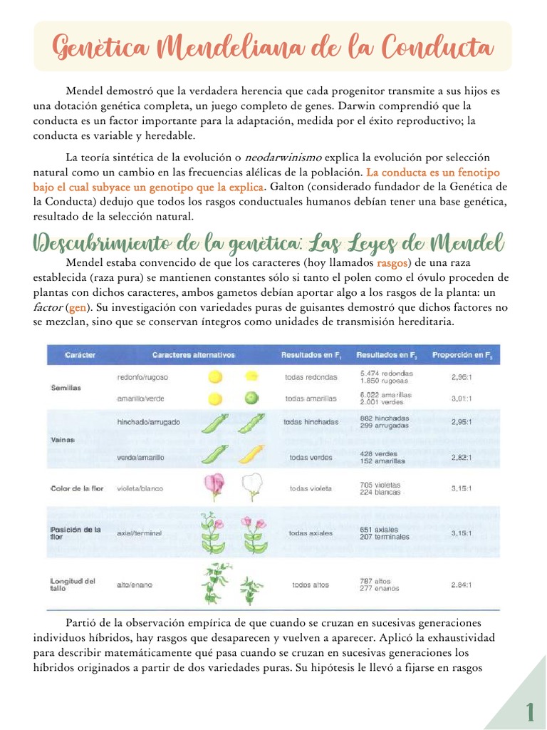 Tema 2. Genética Mendeliana de La Conducta | PDF | Rna | Mitosis