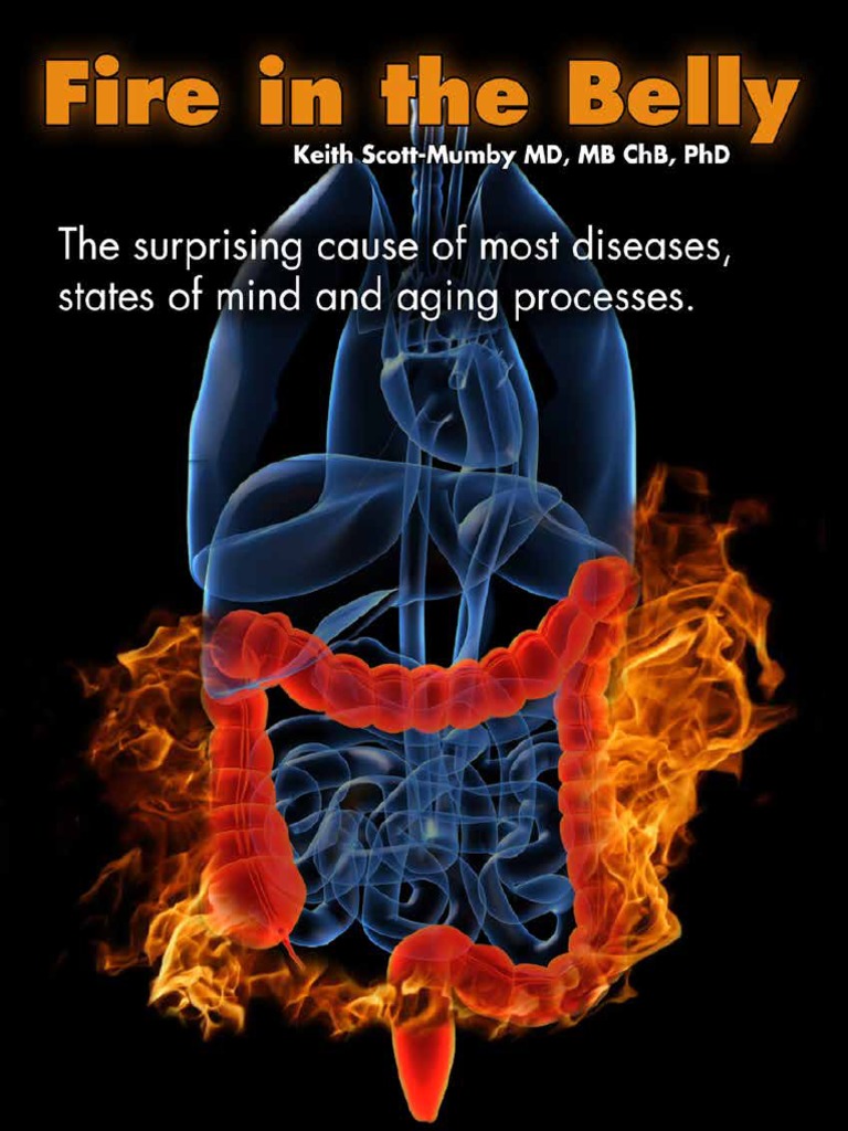 Fire in The Belly (PDFDrive) | PDF | Nervous System | Inflammatory ...