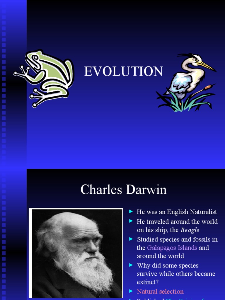 Darwin Evolution | PDF | Charles Darwin | Natural Selection