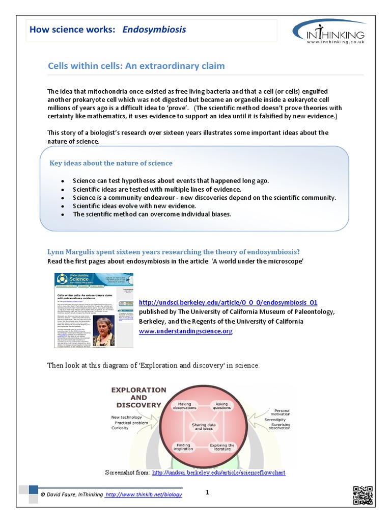 Endosymbiosis HSW Worksheet | PDF | Cell (Biology) | Biological Evolution