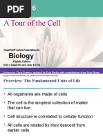 Mindmap Stem Cells | PDF