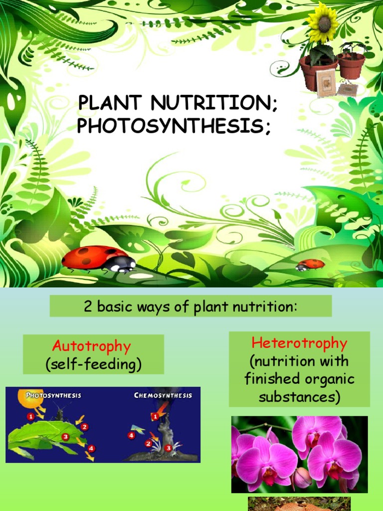 1 Plant Nutrition Photosynthesis | PDF | Photosynthesis | Photodissociation