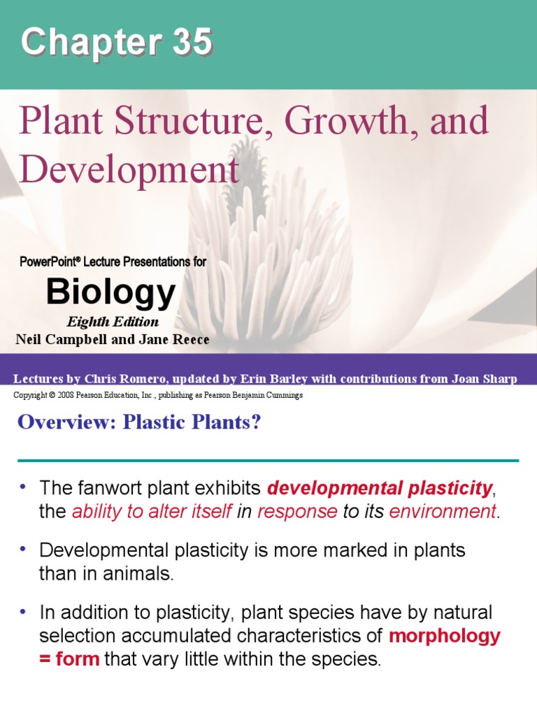 35 Plant Structure Growth and Development | PDF | Leaf | Root