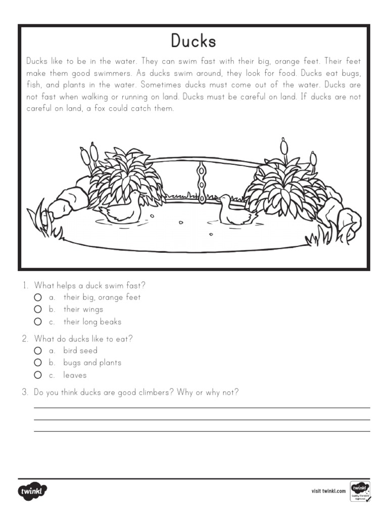 Duck Swimming and Eating Habits | PDF | Home & Garden | Science ...