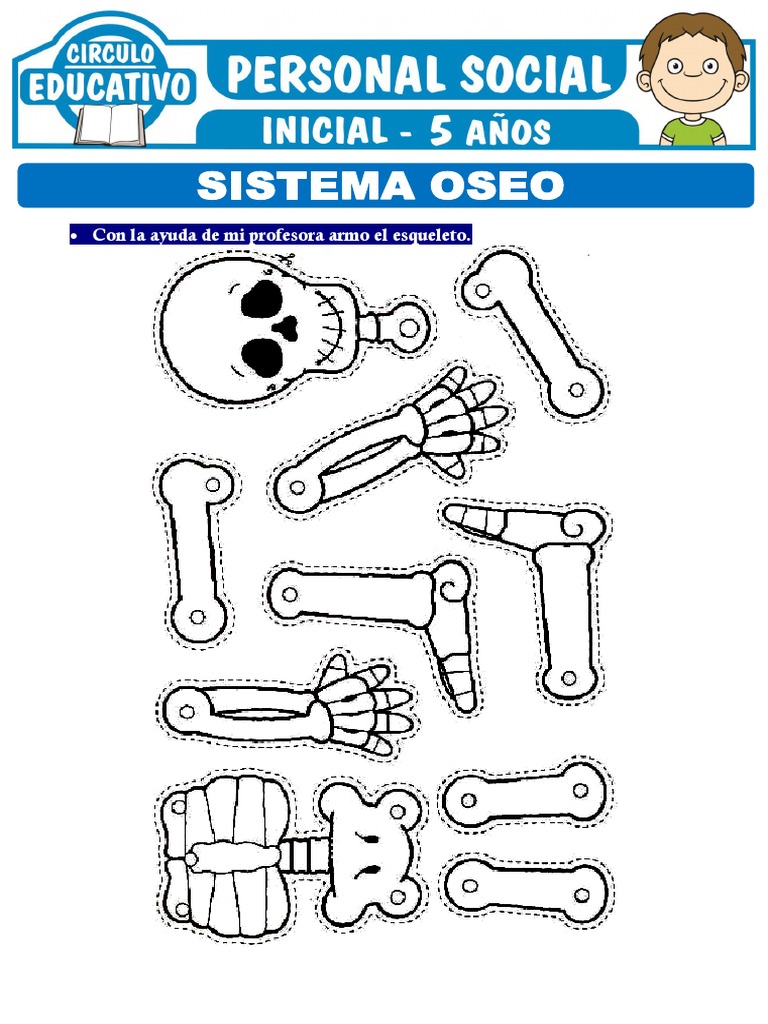 El Sistema Oseo para Ninos de Cinco Anos | PDF | Deportes y actividades ...