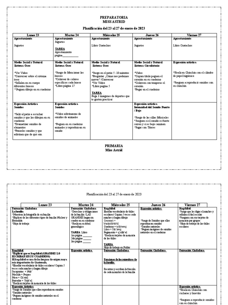 Planificación CECA | PDF | Anatomía