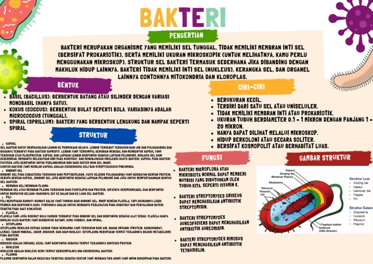 Mind Map Bakteri | PDF