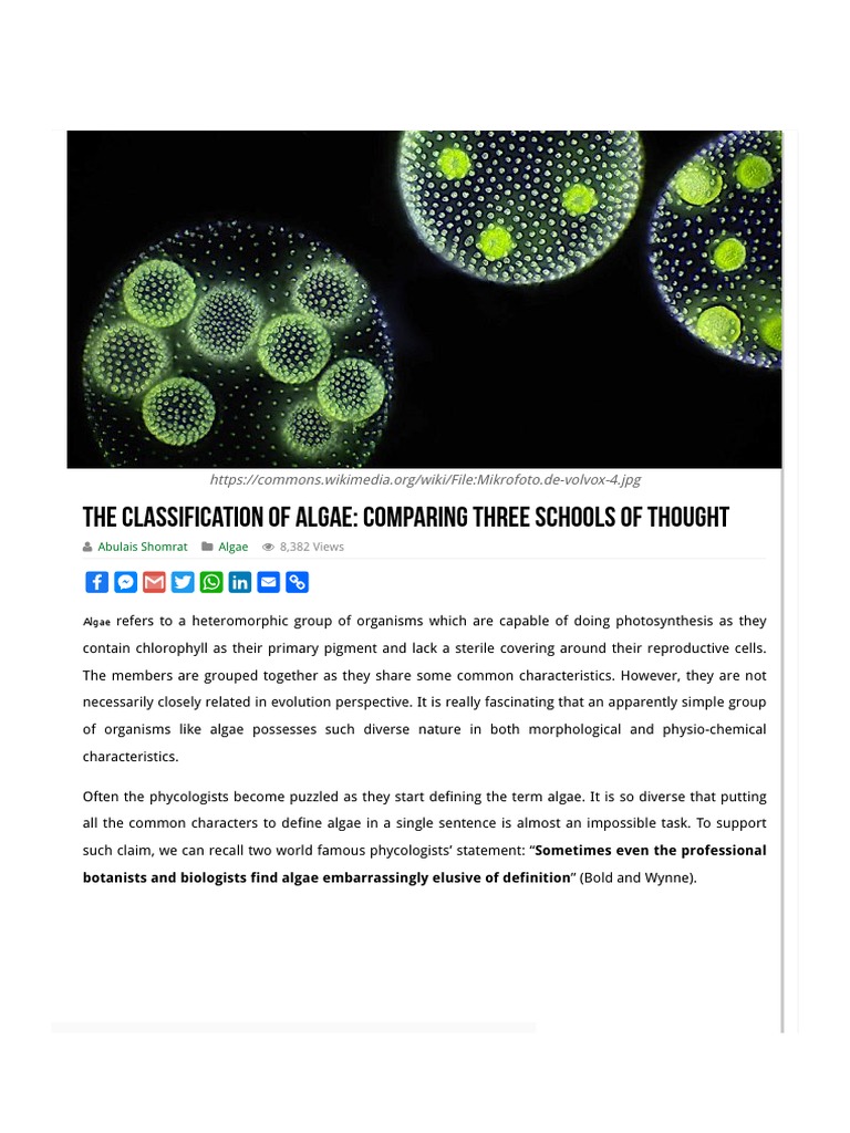 Comparing Classification Schemes of Algae: Three Schools of Thought on Divisions, Classes, and ...