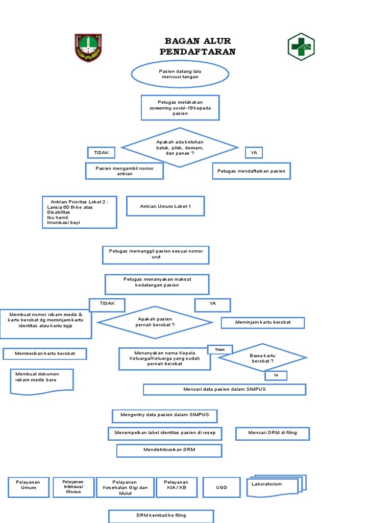New - Alur PDF Era Pandemi | PDF