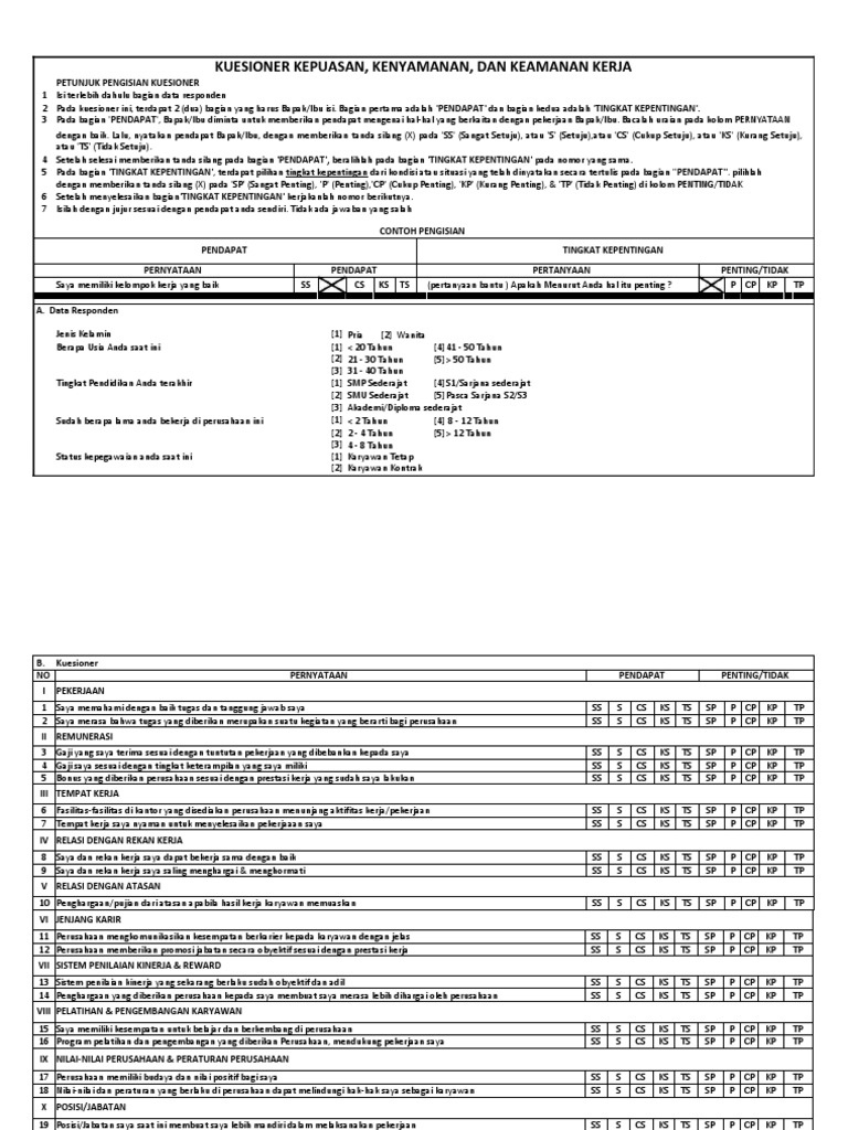 Tugas Kuesioner Raynaldi | PDF