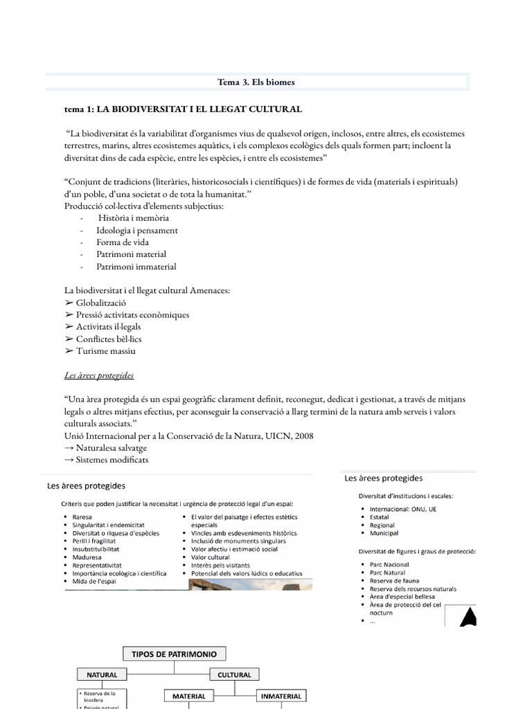 Tema 3 - Els Biomes | PDF