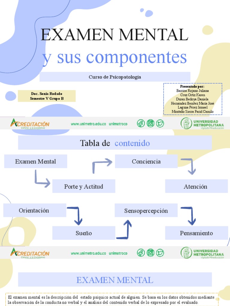 Examen Mental | PDF