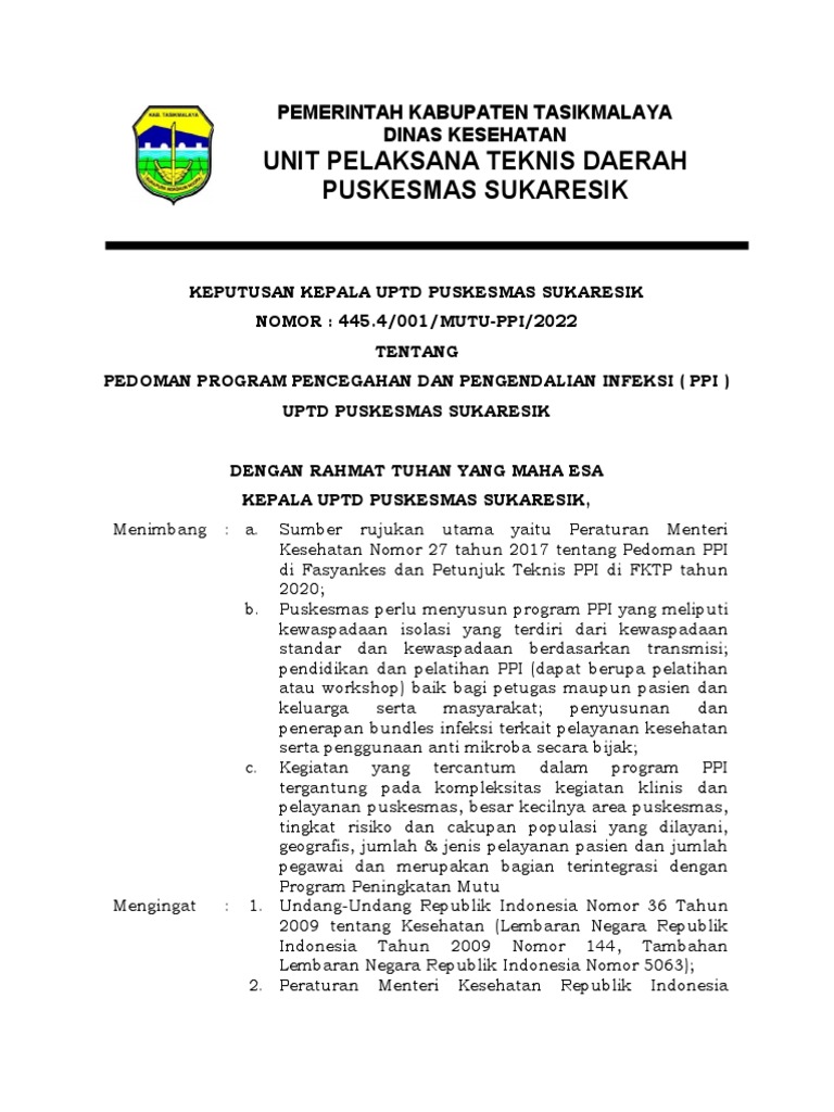 SK Pedoman Program Ppi | PDF