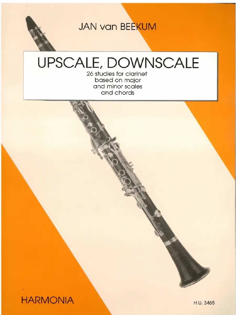 Jan Van Beekum Upscale Downscale | PDF