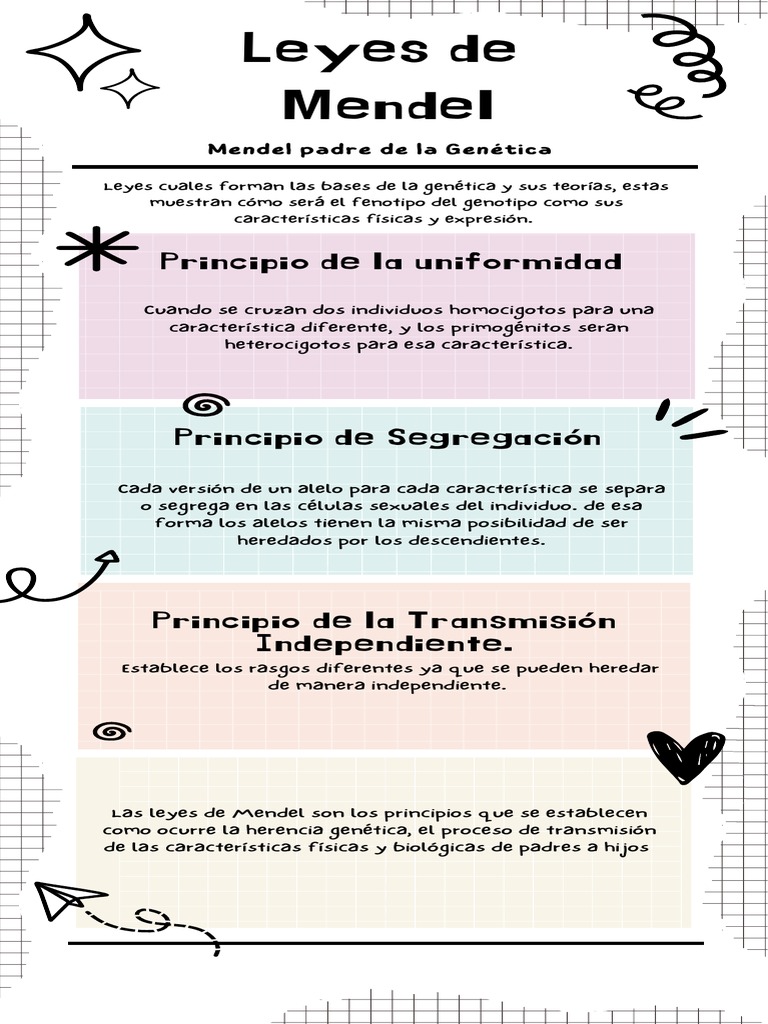 Infografía sobre las Leyes de Mendel | PDF