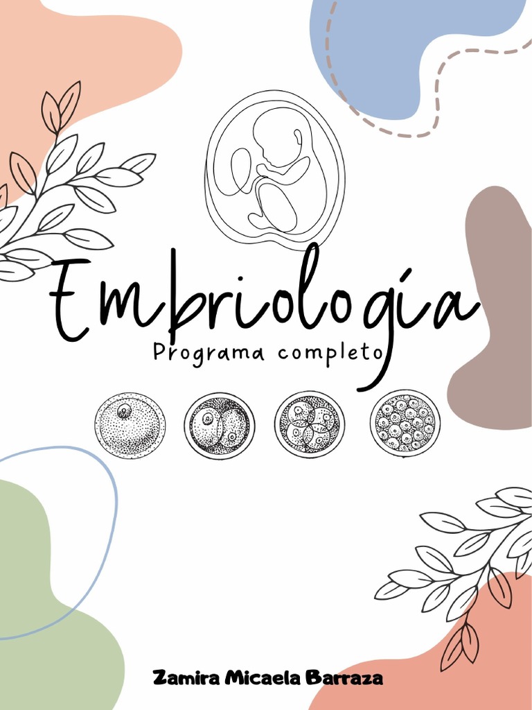 Apunte de Embriología | PDF | Mitosis | Placenta