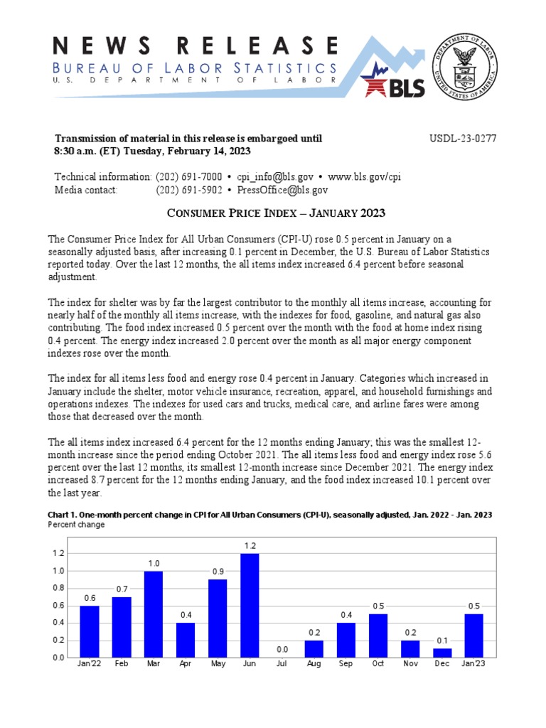 January 2023 CPI Report: Key Insights | PDF | United States Consumer ...