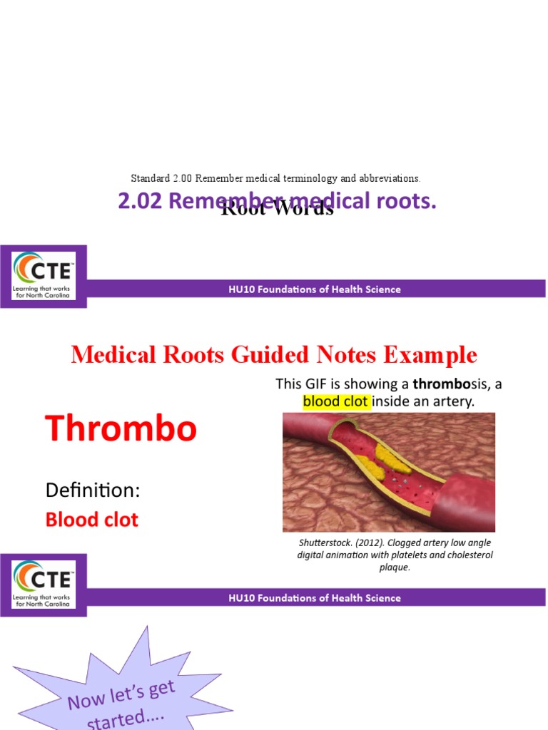 Medical Roots & Terminology Guide | PDF | Thrombus | Medicine