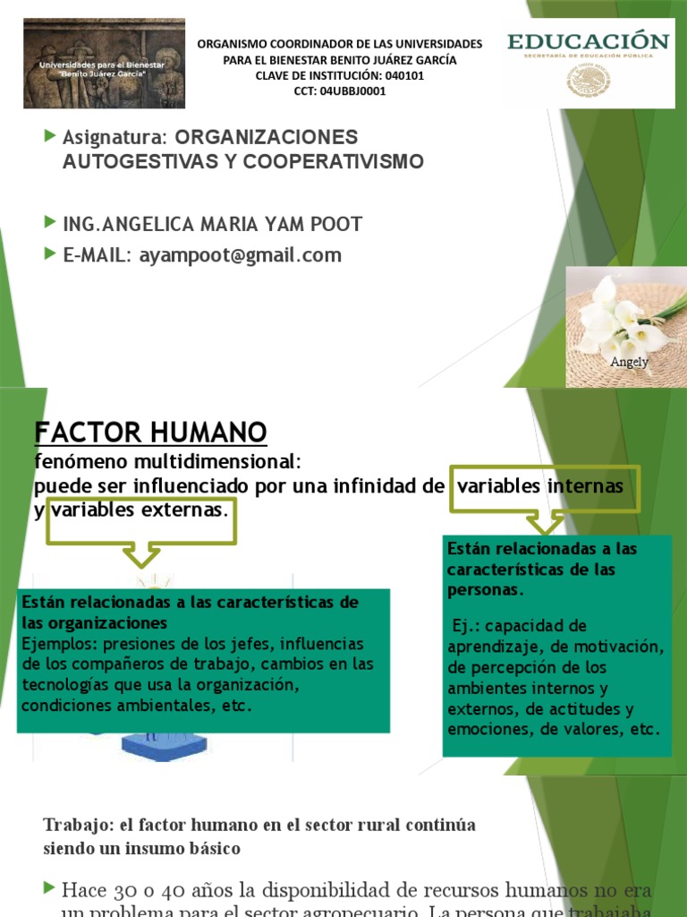 Factor Humano 5C | Descargar gratis PDF | Gestión de recursos humanos | Gestión estratégica