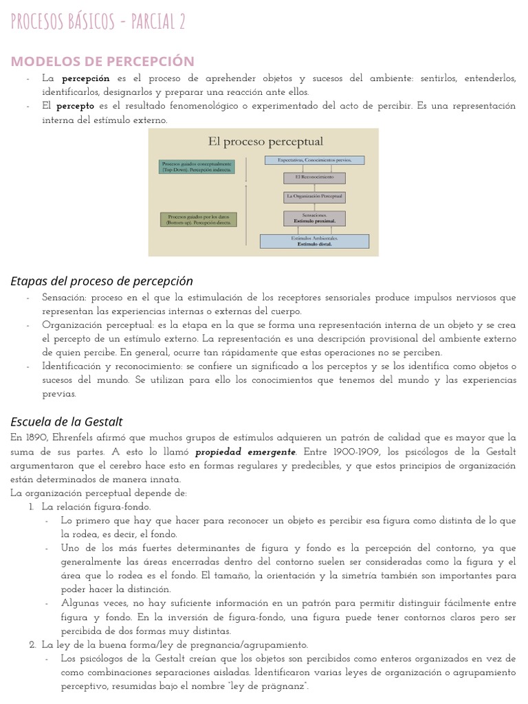 Procesos Básicos 1 - Segundo Parcial | PDF | Percepción | Atención