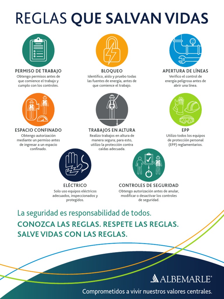 Reglas Que Salvan Vidas | PDF