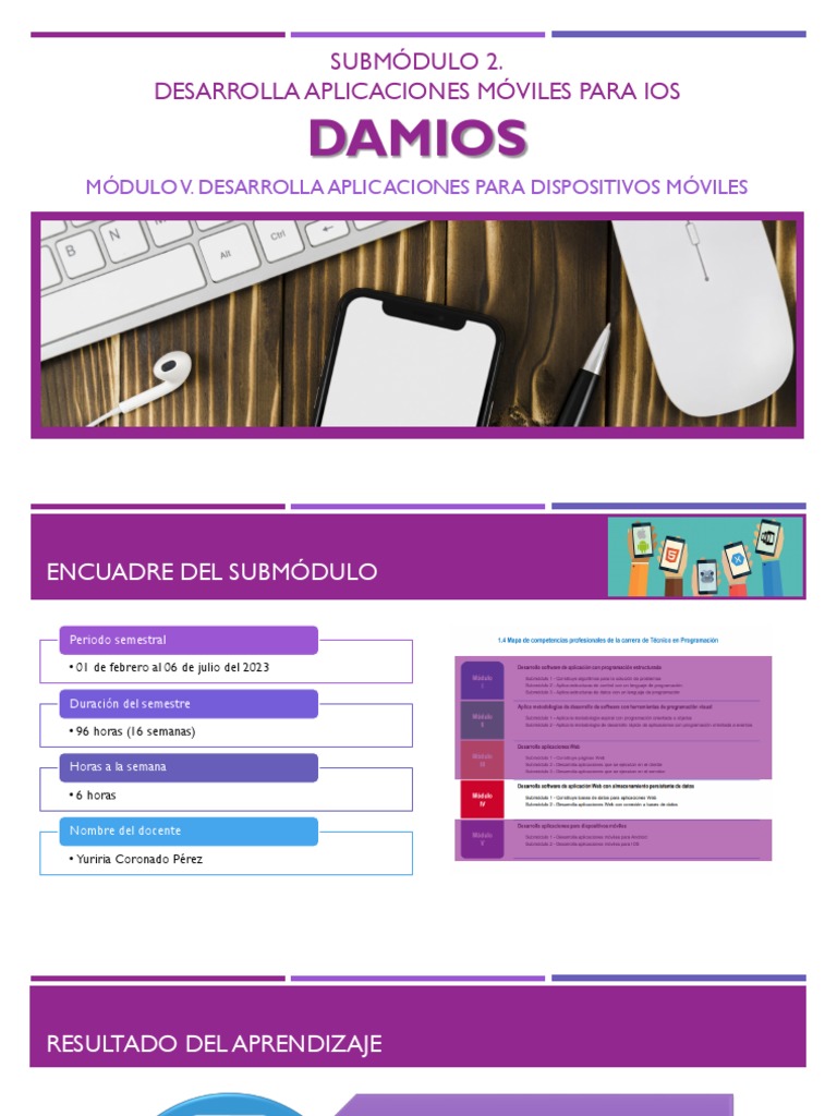 Encuadre Del Submodulo Desarrolla Aplicaciones Moviles para iOS | PDF