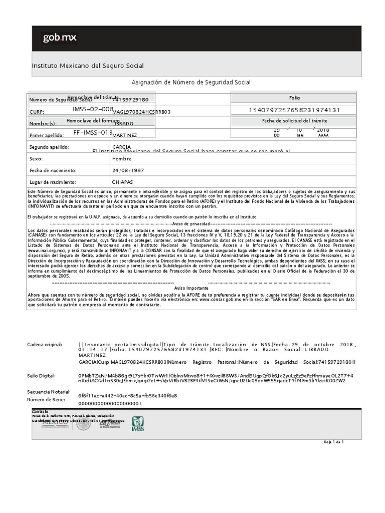 NSS Imss | PDF | Privacidad de la información | Gobierno