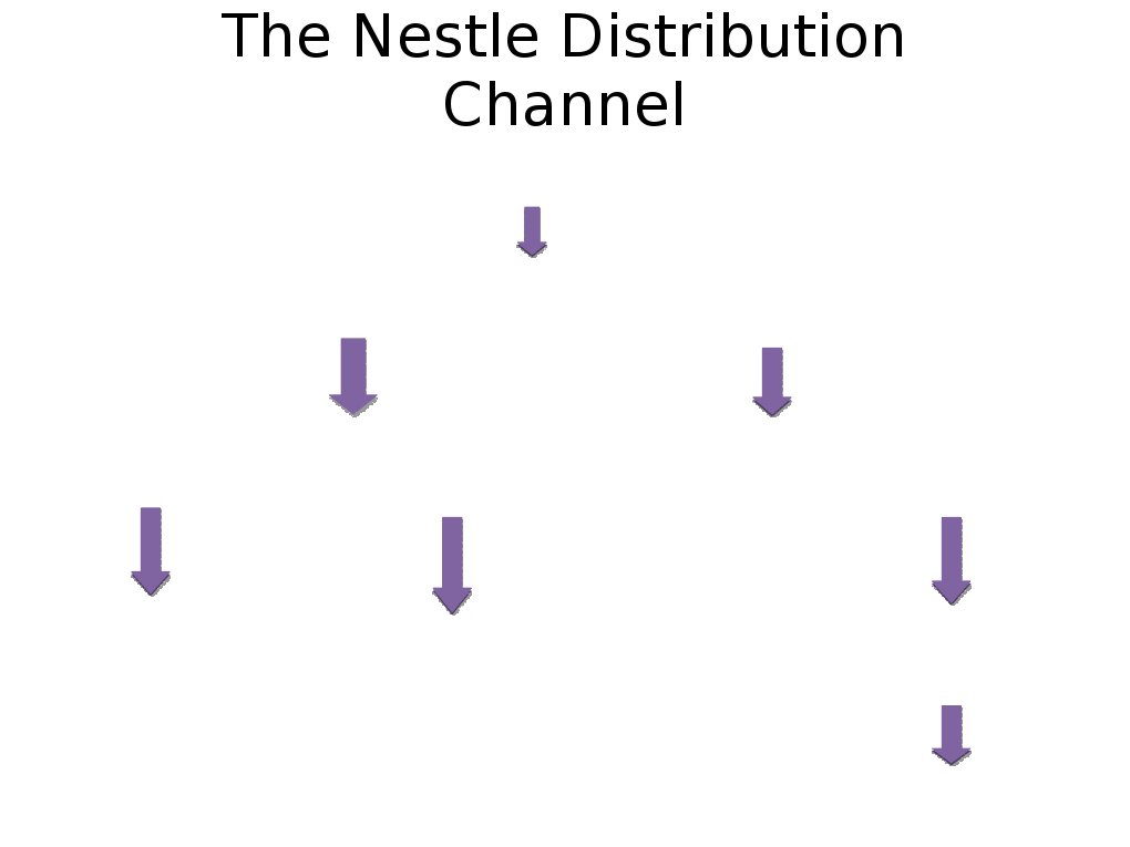 The Nestle Distribution Channel