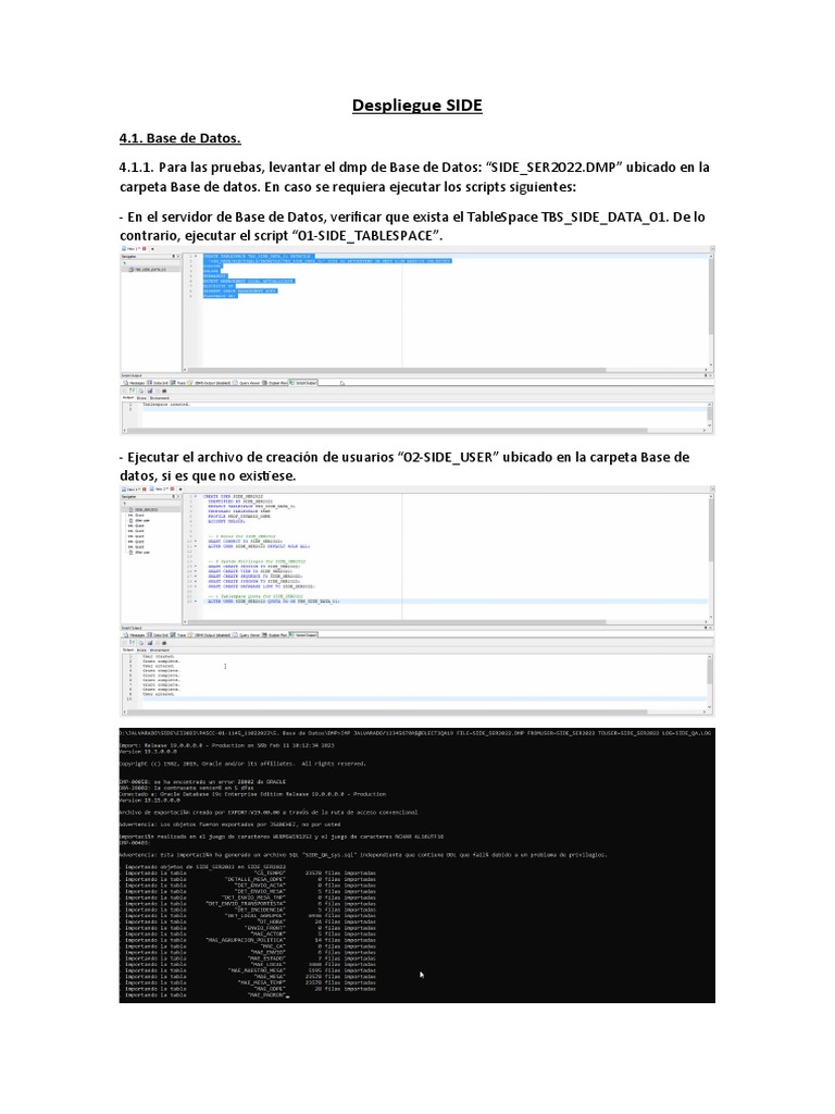 Despliegue SIDE | PDF | Archivo de computadora | Software