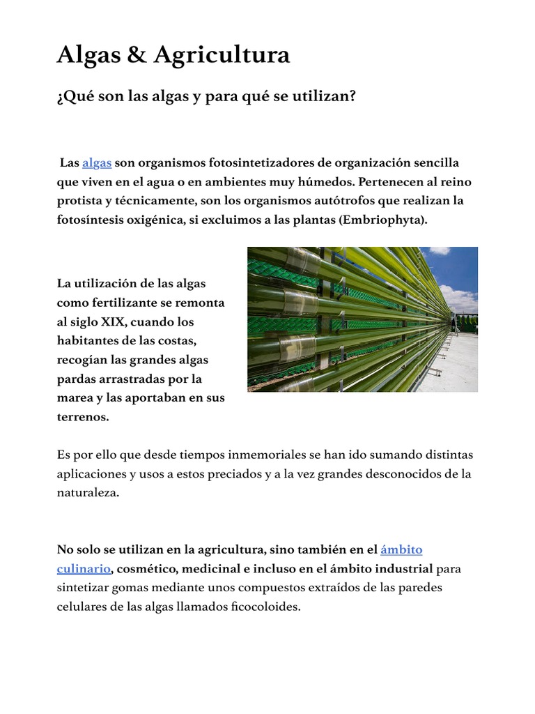Algas & Agricultura - ALLTECH SPAIN | PDF | Algas | Petróleo