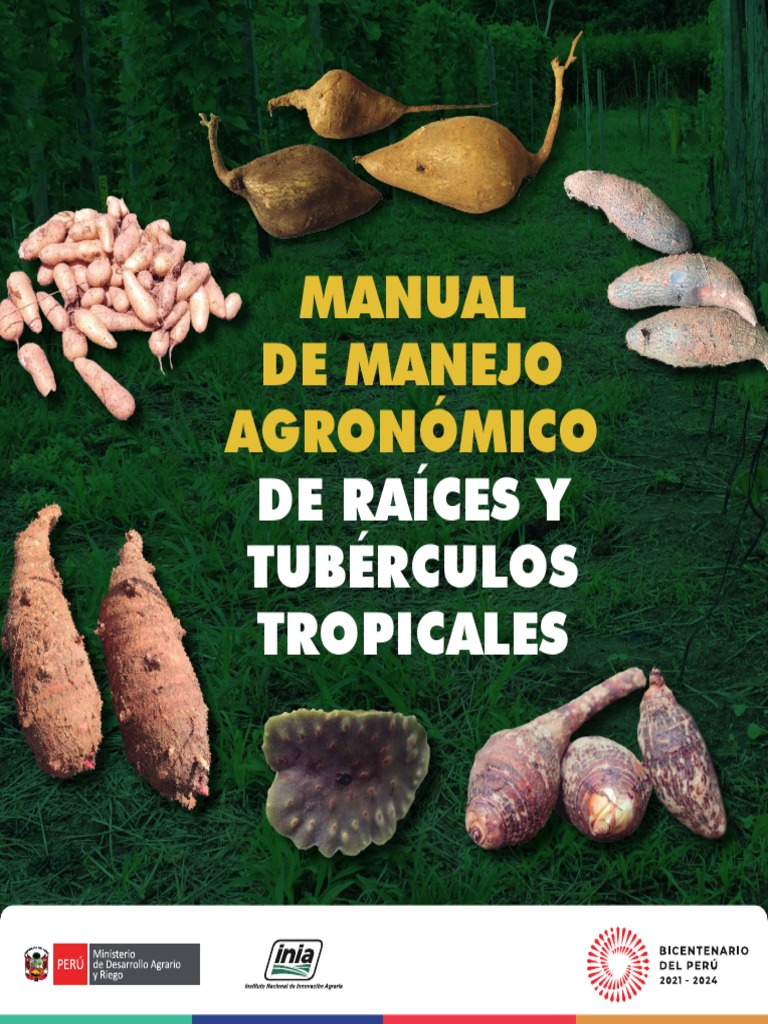 Manual de Manejo Agronomico de Raices y Tuberculos y | PDF ...