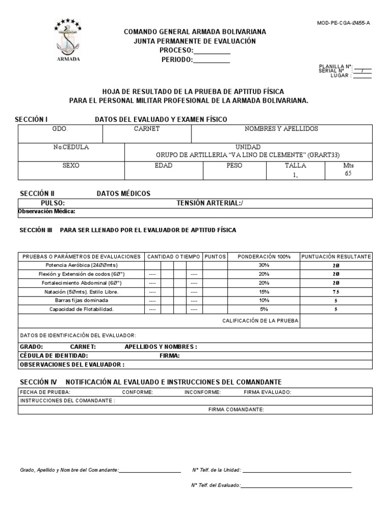 Prueba Fisica Formato | PDF