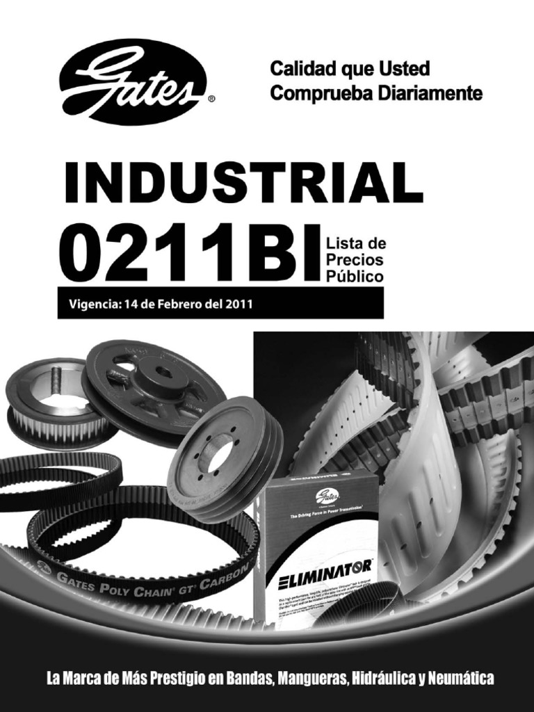 Banda Gates | PDF | Economias | Cuentas nacionales