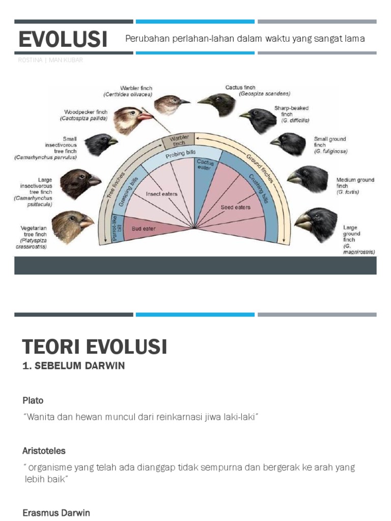 Teori Evolusi: Dari Darwin hingga Mekanisme | PDF