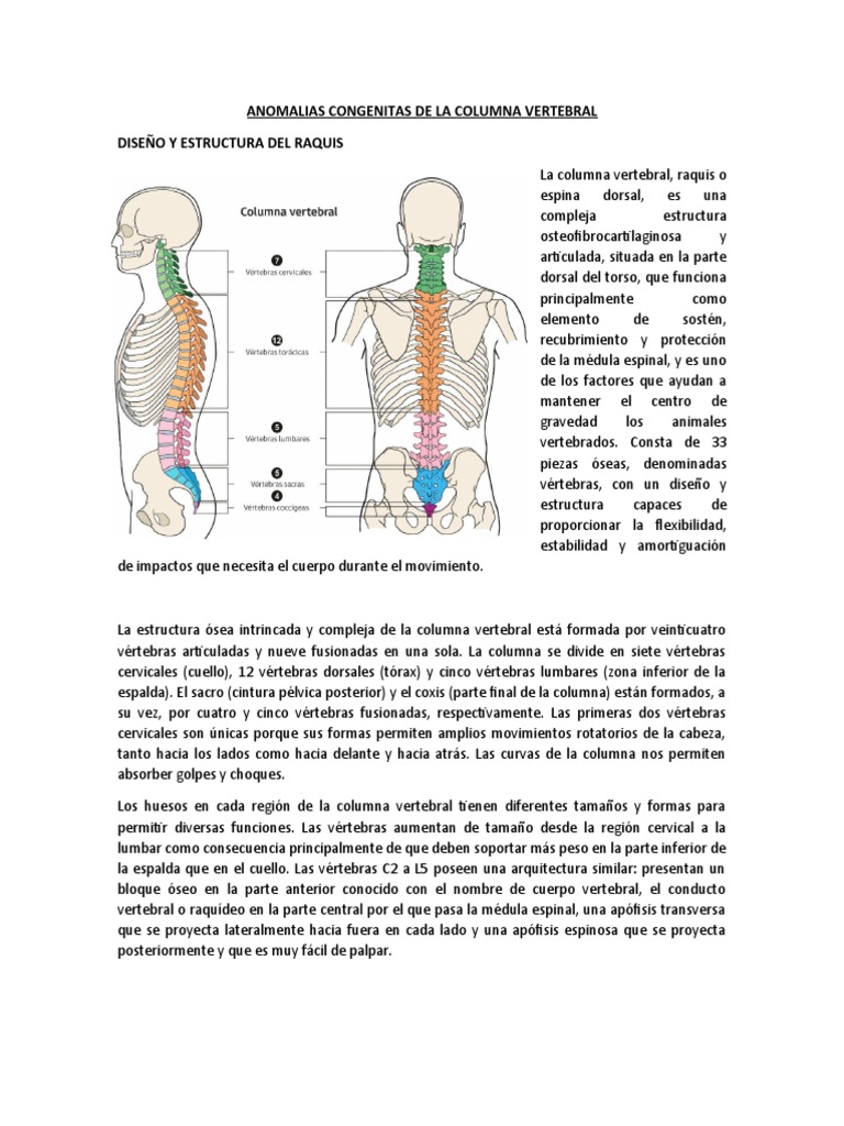 Anomalías Congénitas de la Columna Vertebral | PDF | La columna ...
