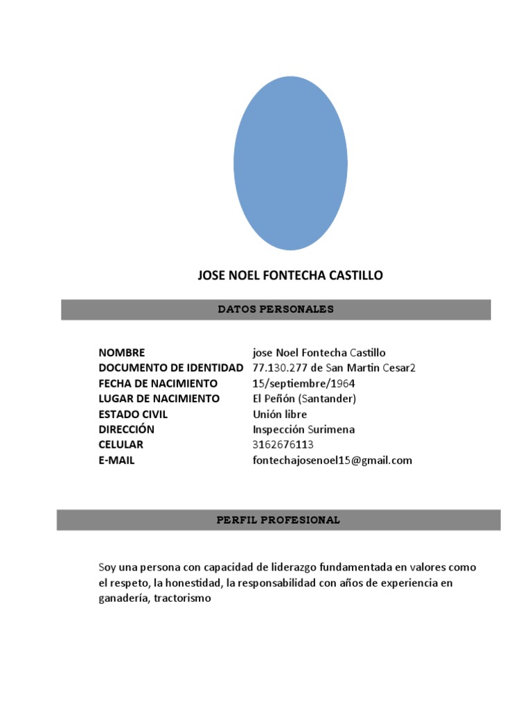 Formato Hoja de Vida Colombia | PDF