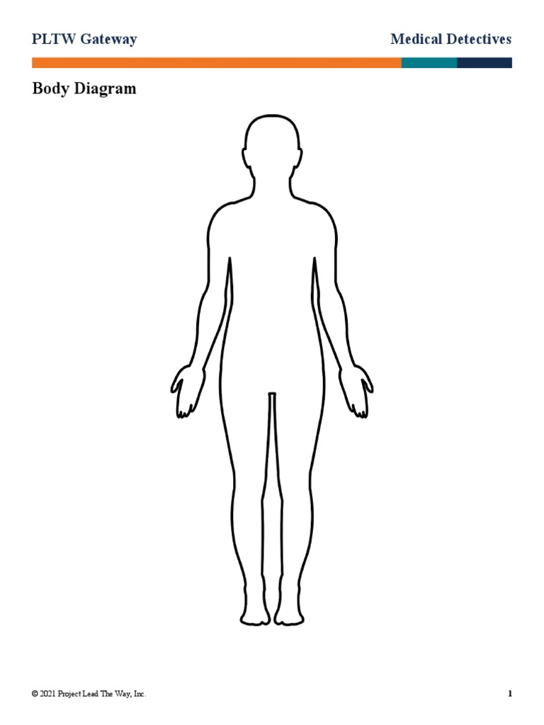 MD Body Diagram | PDF