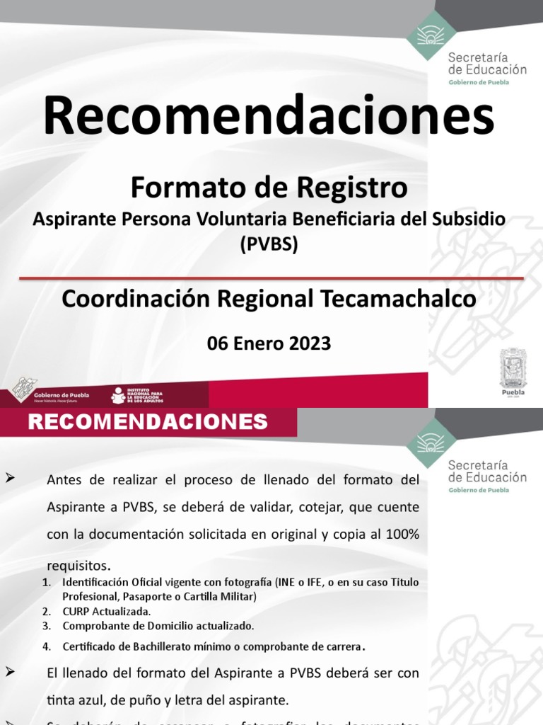 Recomendaciones para los formatos de PVBS 2023-2 | PDF