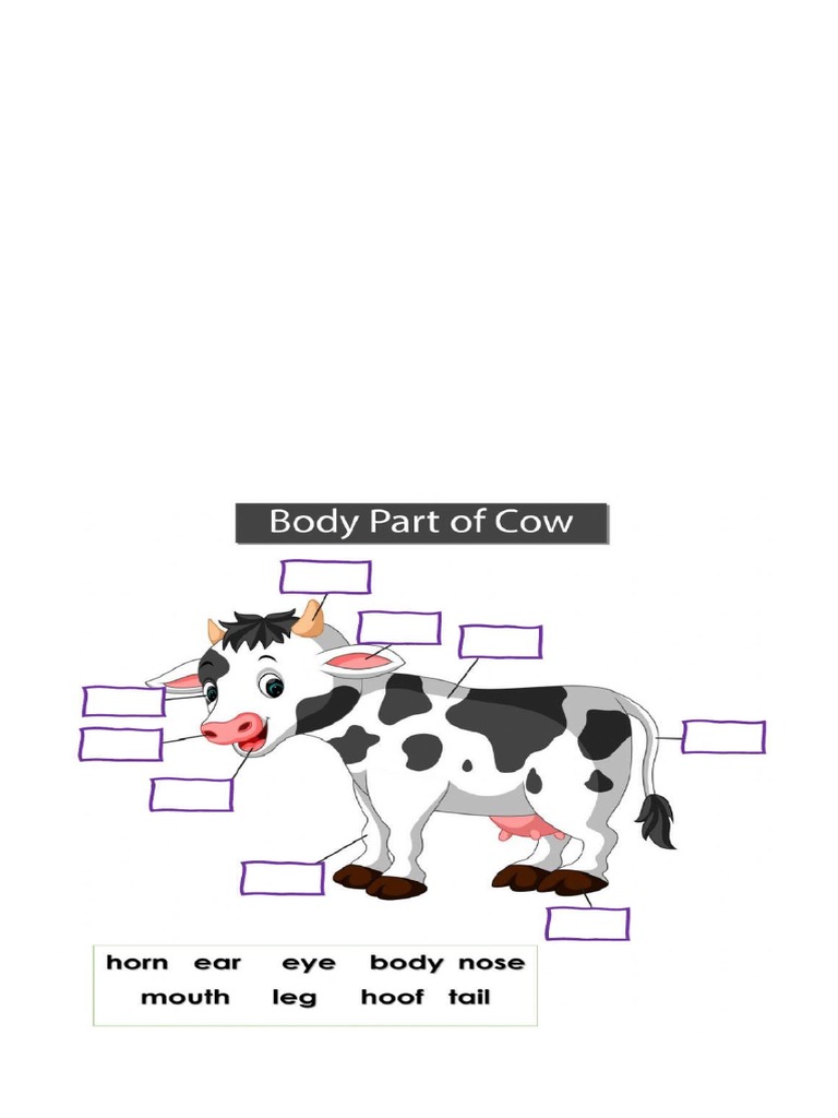Label The Parts of Animals | PDF