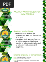 Digestive System of Goats | PDF | Ruminant | Digestion