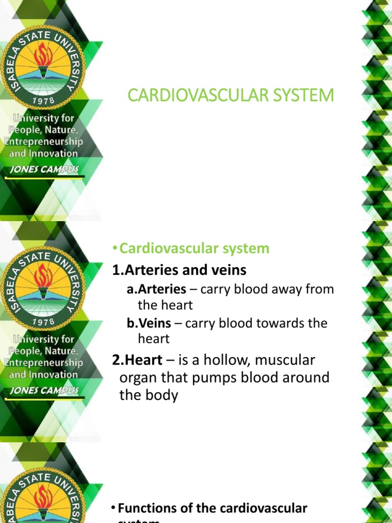 Module 2e - The Cardiovascular System | PDF | White Blood Cell | Blood