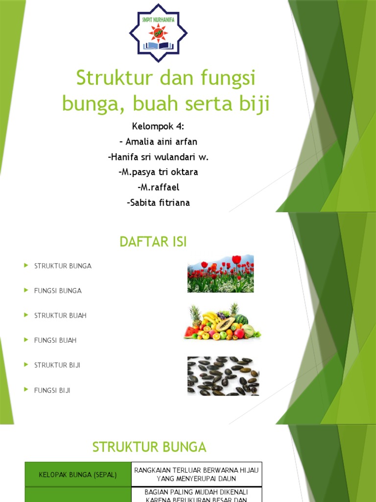 Struktur Dan Fungsi Bunga, Buah Serta Biji | PDF