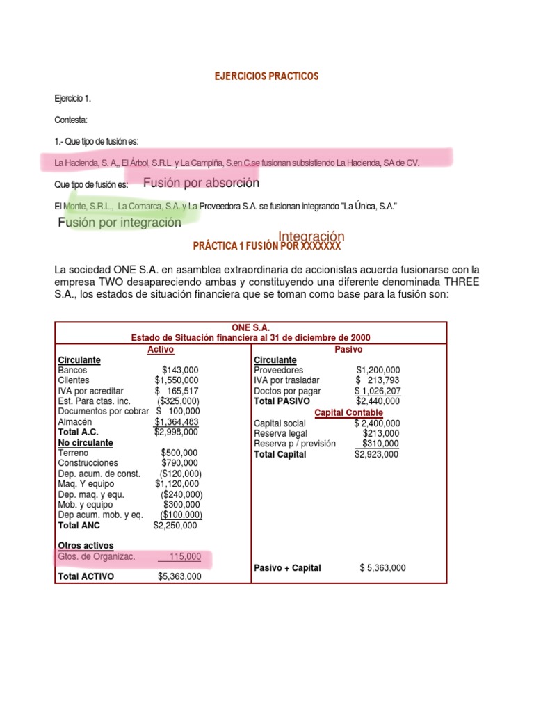 Ejercicios Prácticos FUSION Sres 2023 Ok | PDF | Compartir (Finanzas) | Economias