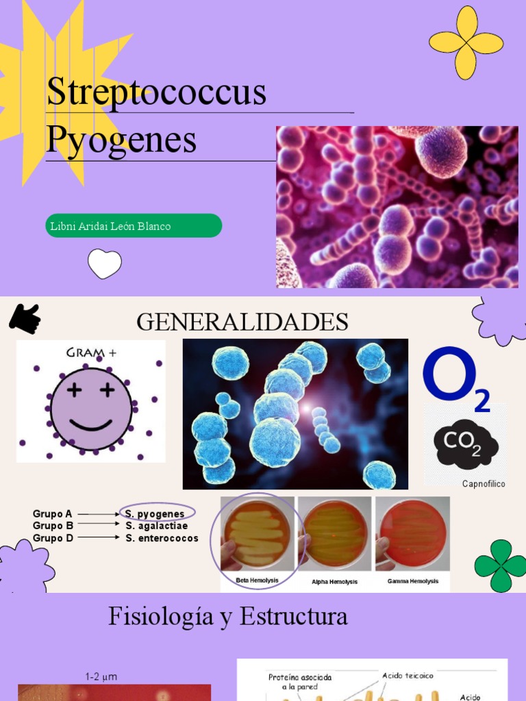 Infecciones por Streptococcus pyogenes | PDF | Salud y bienestar | Ciencia y matemáticas