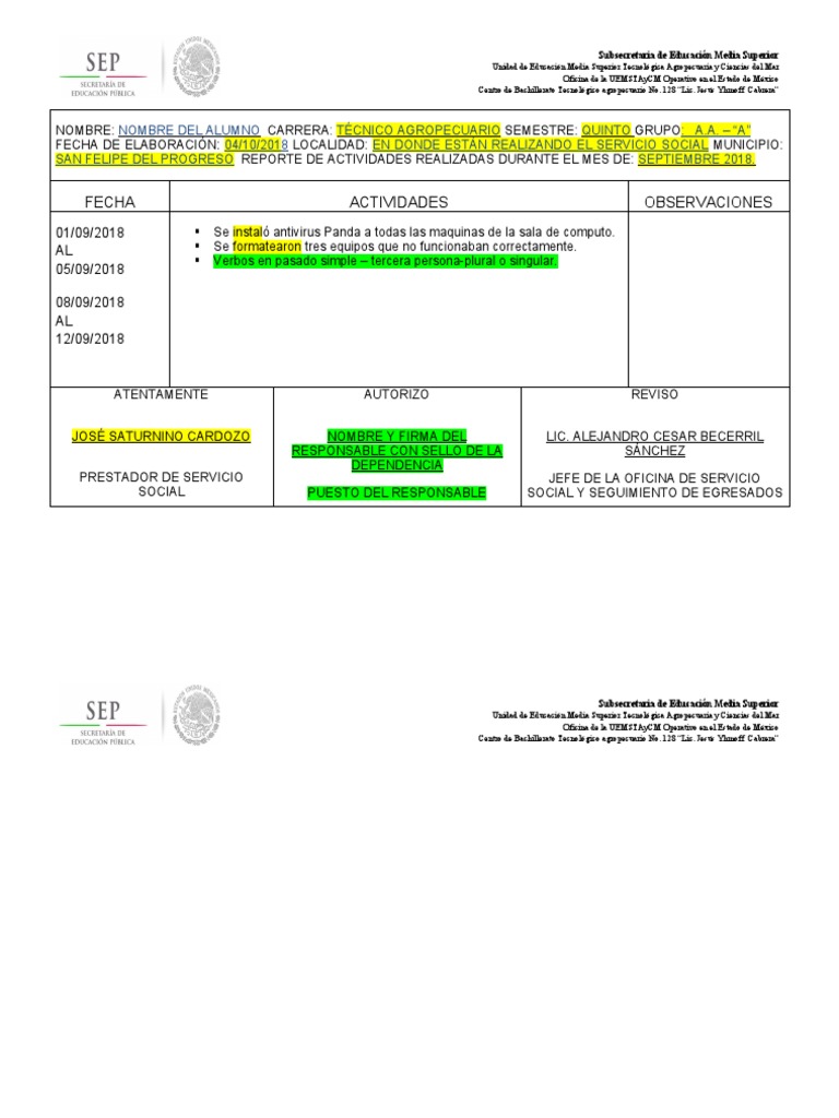 Formato de Informe Mensual | PDF