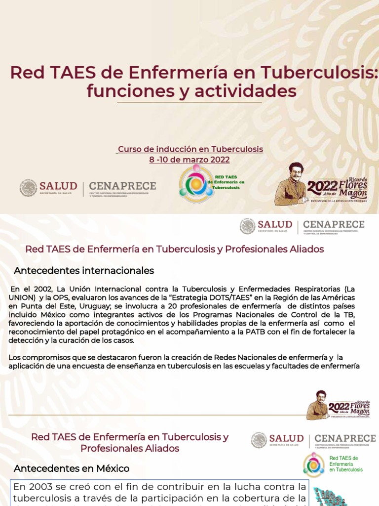 Red TAES: Enfermería y Tuberculosis | PDF | Enfermería | Tuberculosis