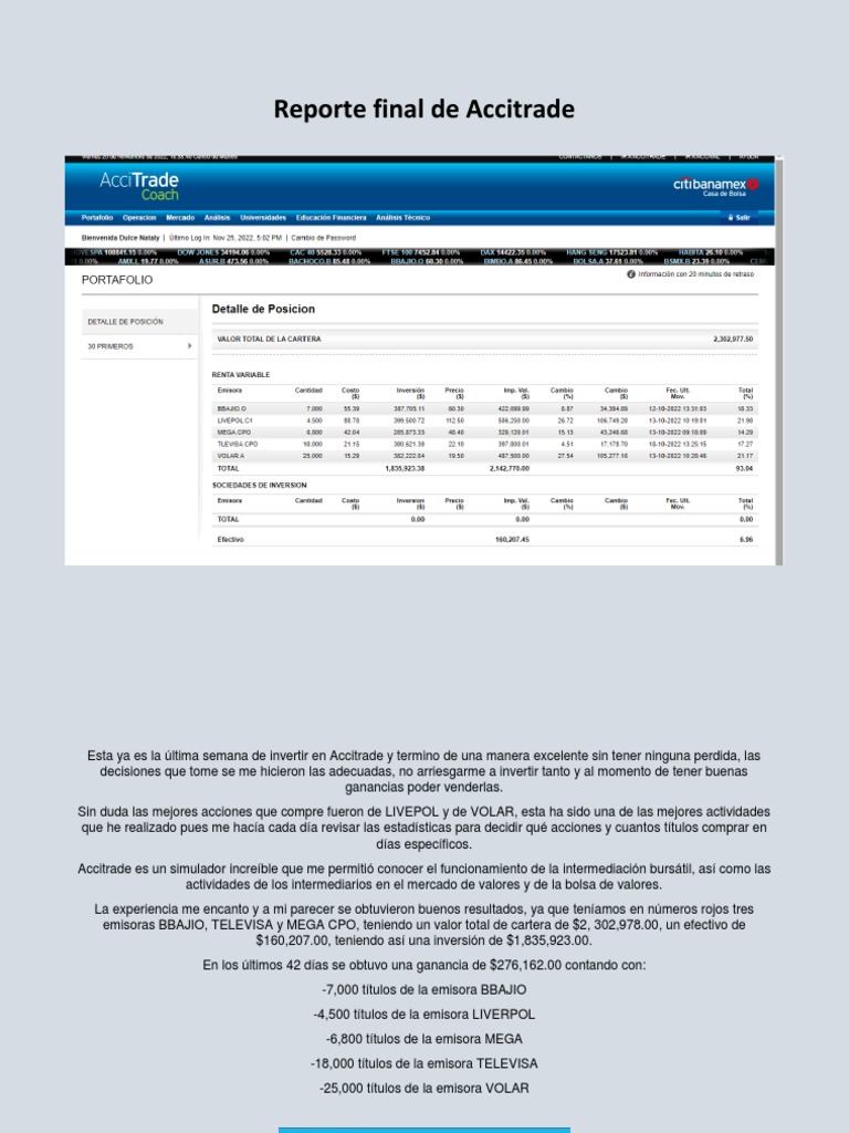 Reporte Final de Accitrade | PDF