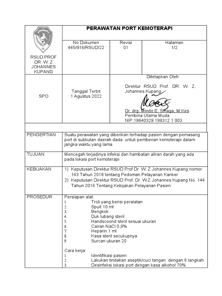 Sop Perawatan Port Kemo | PDF