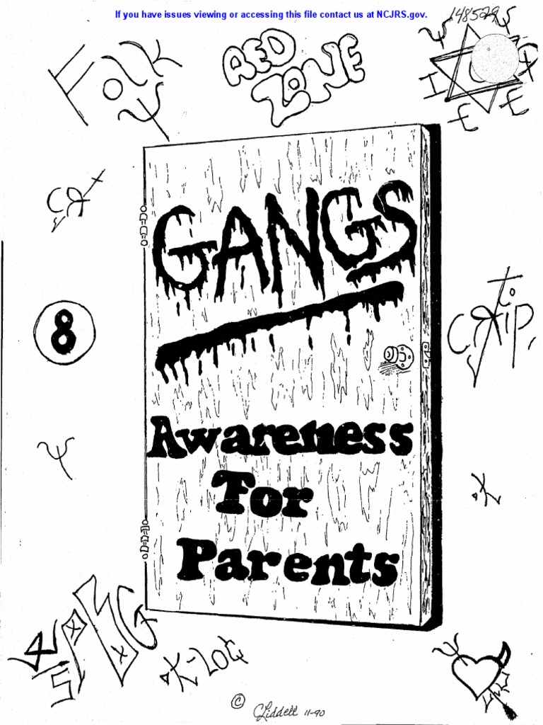 148529NCJRS | PDF | Gang | Criminal Subcultures